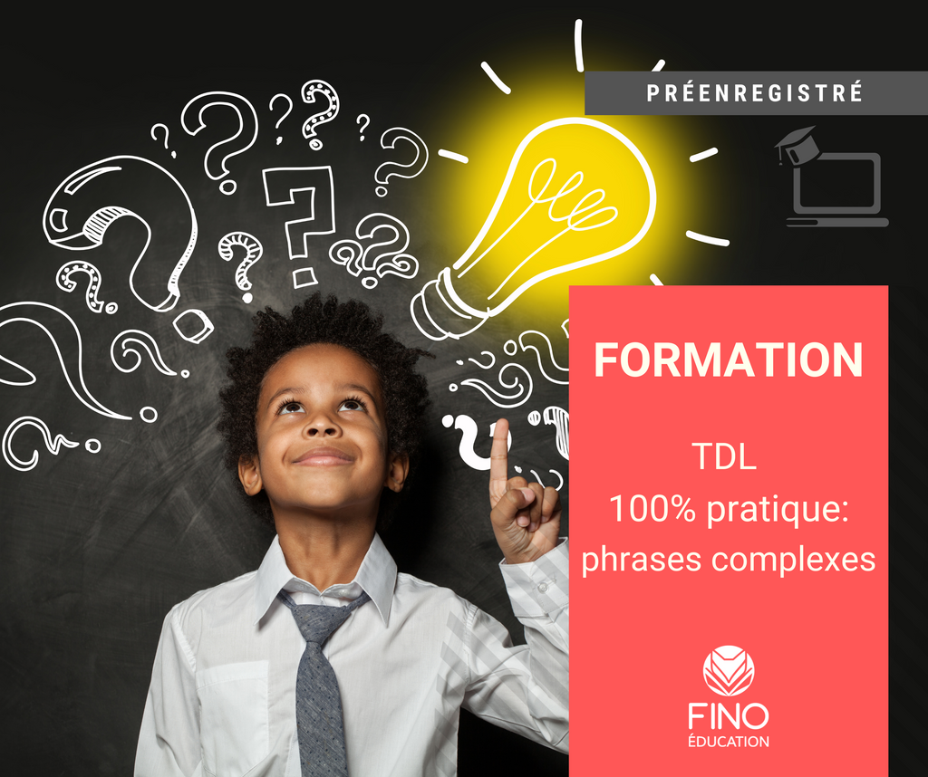 TDL 100% pratique : phrases complexes – Fino Éducation