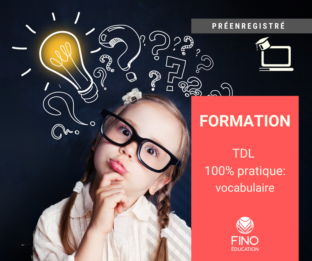 TDL 100% pratique : vocabulaire – Fino Éducation